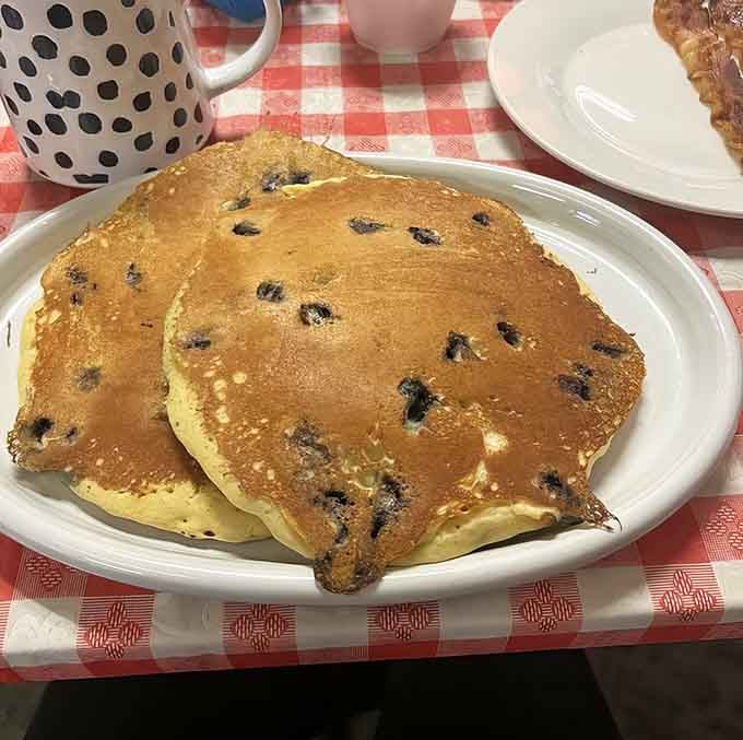 Blueberry pancakes this fluffy should probably be illegal, or at least require a warning label about extreme satisfaction.