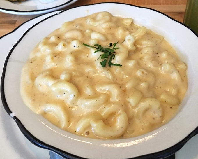 Creamy, dreamy, and unapologetically cheesy &ndash; this isn't just a side dish, it's the main event in a bowl.