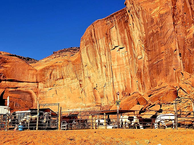 Even the working areas of Monument Valley maintain that rugged beauty, where function meets the most spectacular backdrop imaginable.