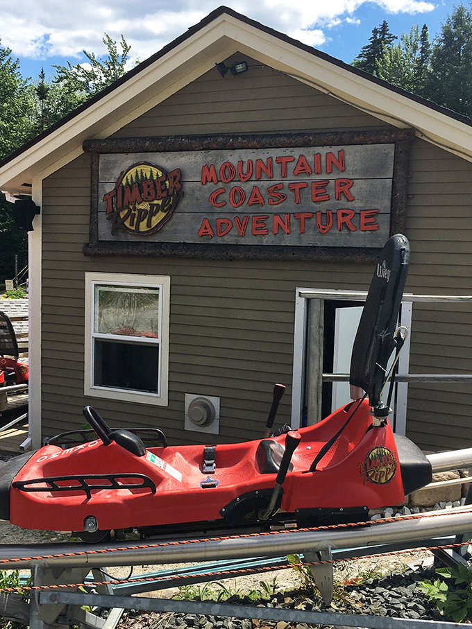From this perspective, you can appreciate how the coaster's design works with the natural terrain rather than against it.