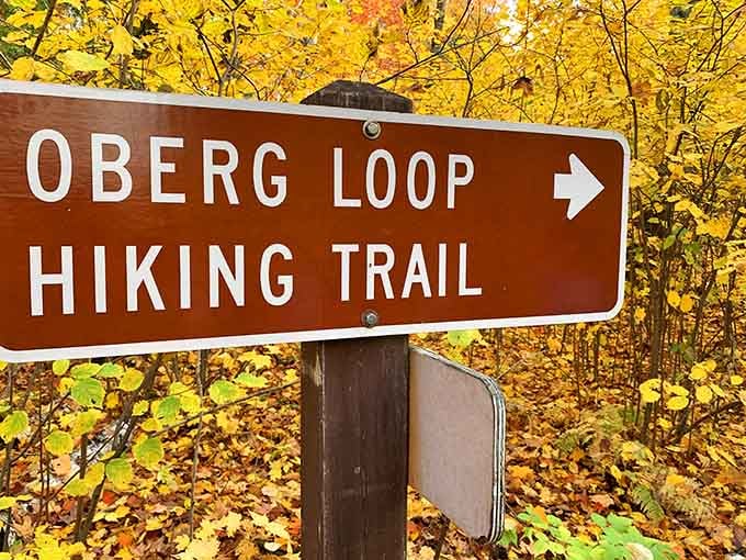 Follow the sign and trust the process, because what awaits around the bend is worth every step and then some.