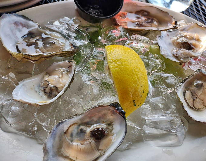Fresh-shucked treasures from the deep, arranged like jewels on ice with a splash of sunshine from that perfect lemon wedge.