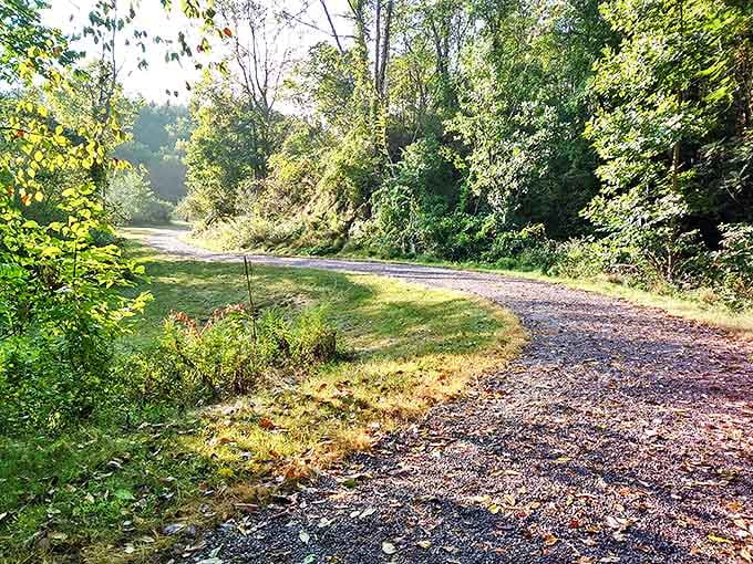 Nature's green carpet rolls out along paths where workers once trudged with coal-blackened boots and weary determination.