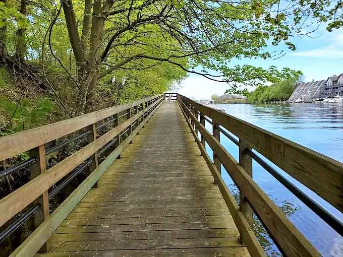 This wooden pathway seems to float between water and wilderness, offering a journey that's as much about inner peace as outward exploration.