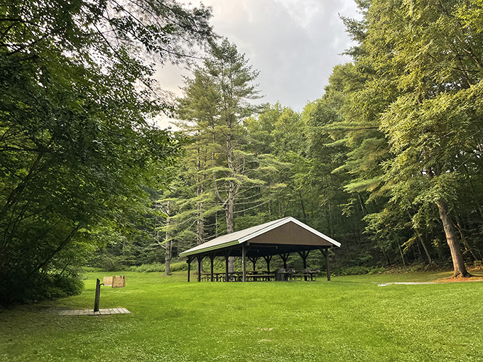 The park's pavilion stands ready for family gatherings, providing shelter from surprise summer showers without sacrificing the outdoor experience.