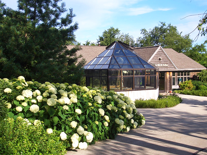 Nature's VIP lounge! This charming pavilion offers front-row seats to the greatest show on earth &ndash; the ever-changing garden landscape.
