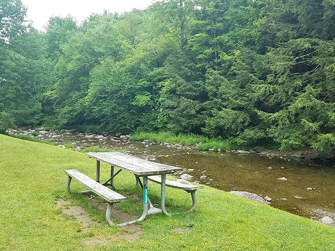 The perfect lunch spot doesn't exi&mdash; Oh wait, here it is. Nature's dining room complete with the most exclusive river view in Vermont.