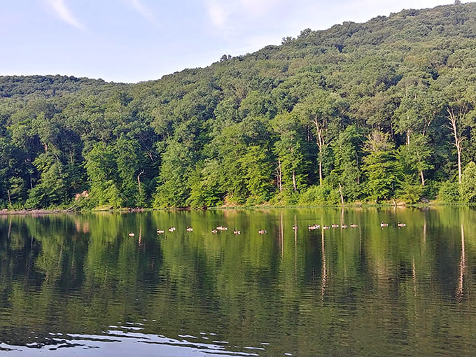 The Scioto River reflects surrounding hills perfectly, creating those mirror moments that make you stop and stare appreciatively.
