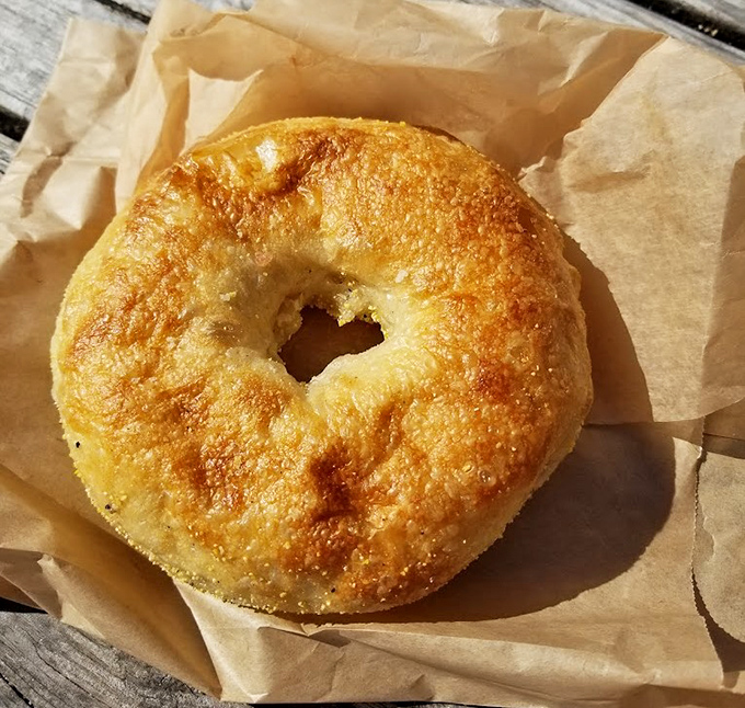 Sometimes simplicity is the ultimate sophistication&mdash;this plain bagel proves that proper technique and quality ingredients need no embellishment.