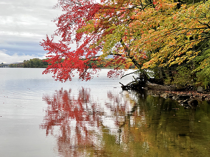 Fall's fiery display reflected in still waters – Lake Carmi doubles the autumn spectacle without charging extra admission.