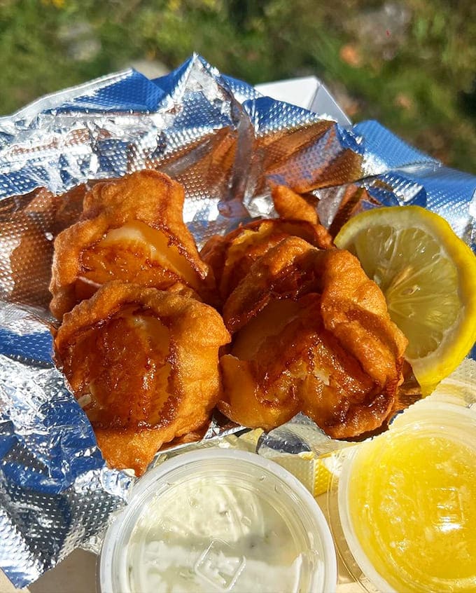 Fried scallops this perfectly golden prove that sometimes the simplest preparations are the ones that let quality ingredients truly shine.
