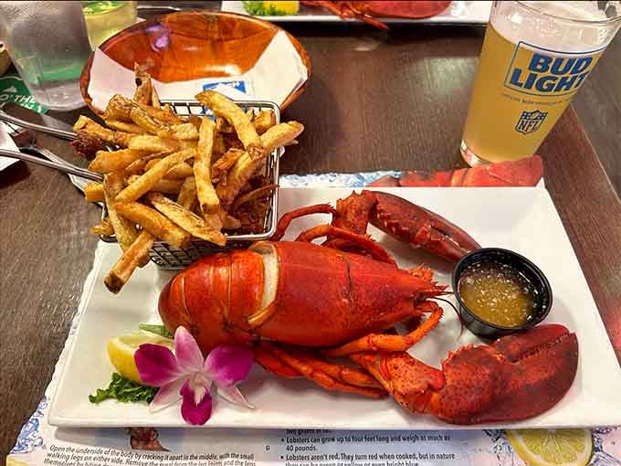 When a whole lobster shows up with fries and drawn butter, you know you've hit the Maine jackpot at this retro roadhouse.