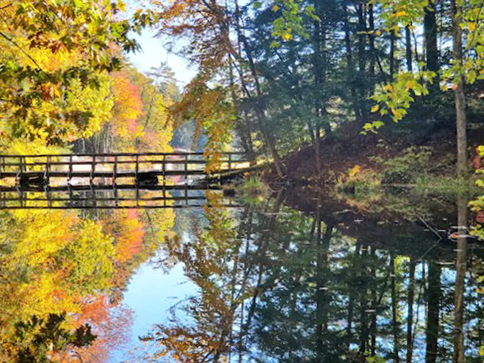 Autumn's golden touch transforms this wooden bridge into a magical crossing, complete with nature's own light show.