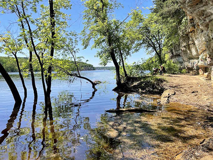 Where forest meets river, a sandy path winds beneath towering bluffs, inviting wanderers to follow nature's lead.