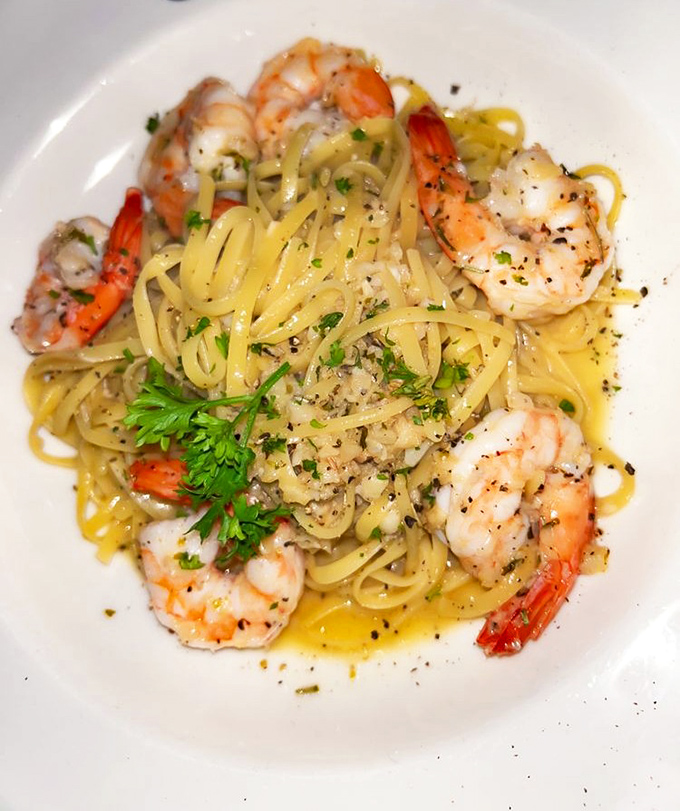 Shrimp scampi that makes you wonder if the ocean and butter had a delicious love child, garnished with fresh herbs.