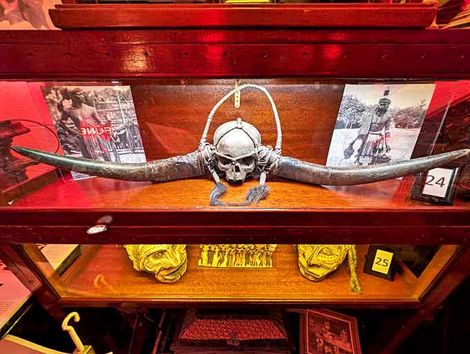 Skull with horns: Part scientific specimen, part tribal artifact, this decorated skull transforms death into art &ndash; beauty and mortality dancing in perfect harmony.