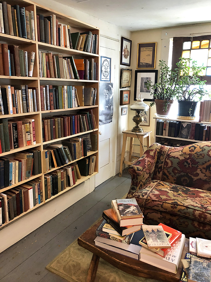 Wooden shelves groan pleasantly under the weight of literary worlds, while comfortable chairs invite you to stay just one chapter longer.