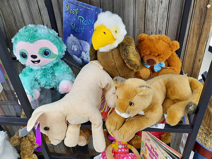 These stuffed animals have seen things, loved things, and now wait patiently for new children to whisper secrets to.