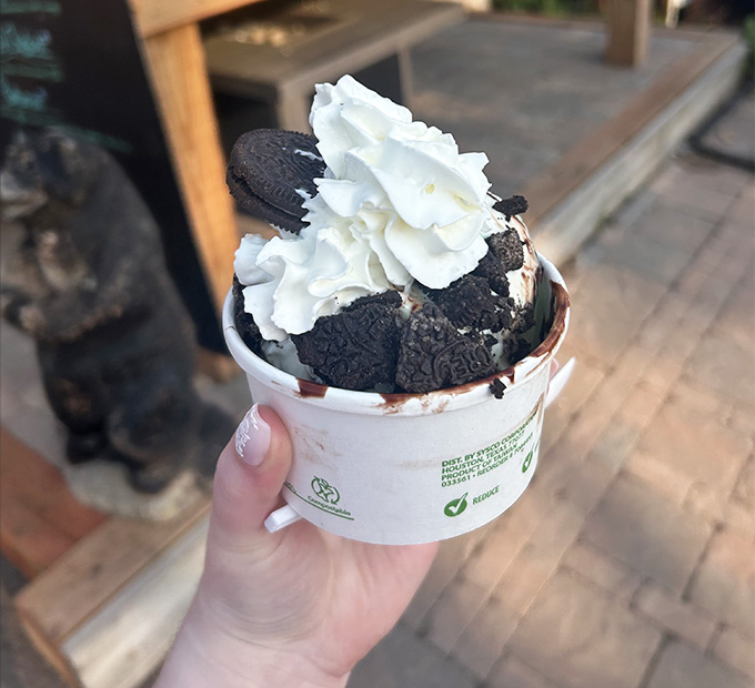 Oreo lovers, this is your sundae soulmate, piled high with cookies and cream in a combination that's basically a hug in dessert form.
