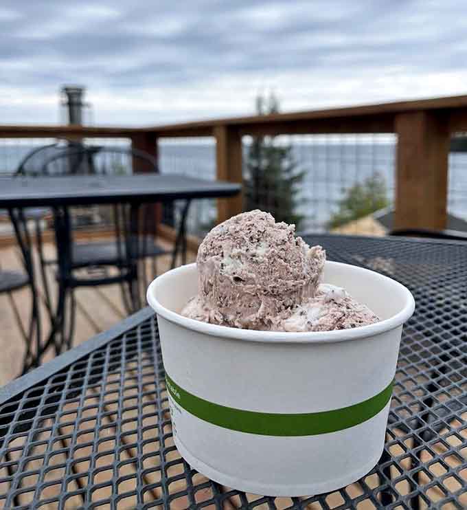 Chocolate custard so rich and velvety, it should probably come with a warning label for ice cream purists.