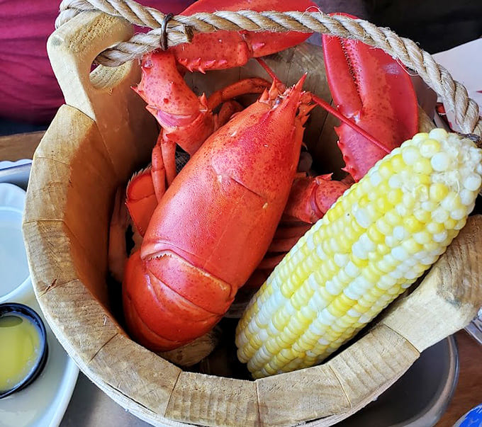 A whole steamed lobster with corn on the cob is the Maine summer experience distilled into one perfect, butter-drenched meal.