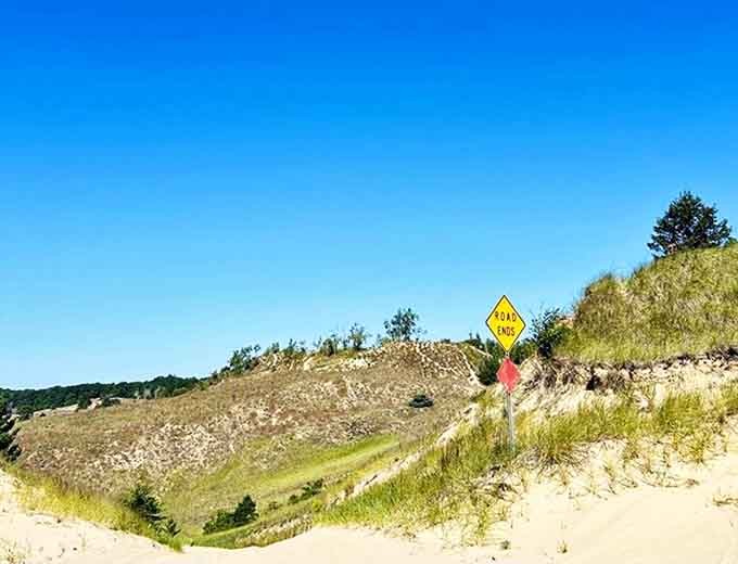 The pristine sand roads wind through the dunes like nature's own roller coaster track, carved by wind and water over thousands of years into the perfect adventure playground.