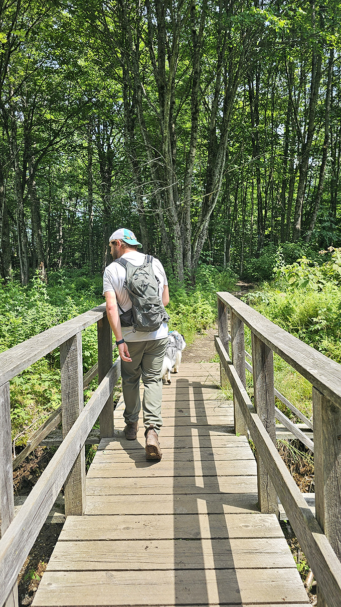 A hiker and faithful companion crossing one of Elmore's wooden bridges &ndash; the perfect metaphor for journeys shared in nature's embrace.