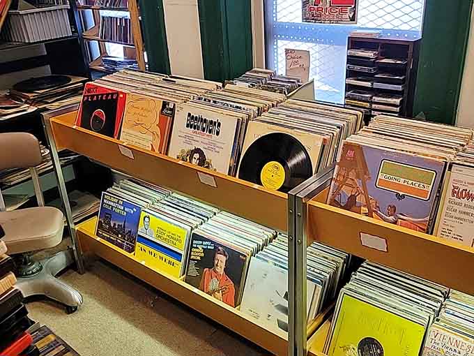 Vinyl records waiting to spin again, each one holding memories of first dances, road trips, and that one song you played until everyone begged for mercy.