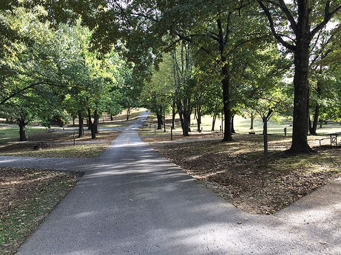 These peaceful walkways wind through the forest like nature's own meditation path, minus the incense and chanting.