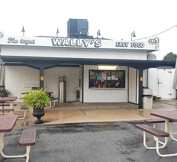 The outdoor seating area invites you to slow down, relax, and remember when eating out was this simple and satisfying.