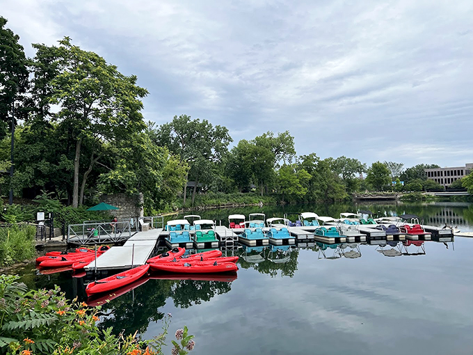 Paddle your way through a liquid autumn. These boats offer a duck's-eye view of fall's finest show &ndash; no quacking required!