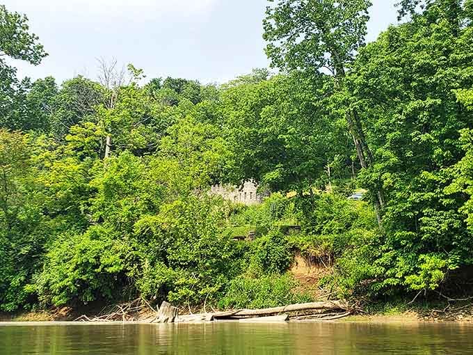 The wooded shoreline creates a natural cathedral of green, where sunlight filters through leaves and makes you forget you're still in Ohio.