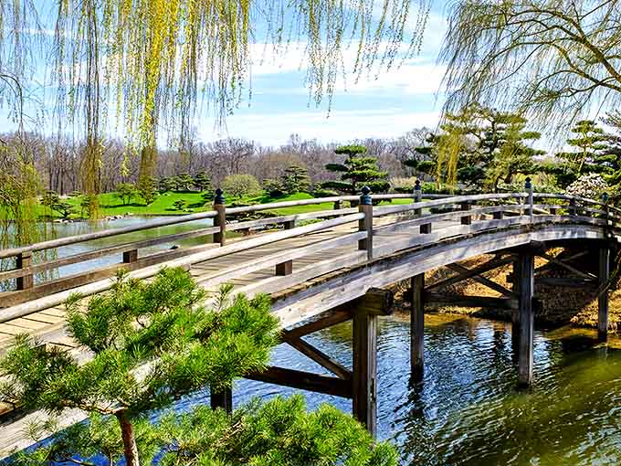 This wooden boardwalk invites visitors to wander through a Japanese-inspired landscape where every view feels like a meditation in motion.