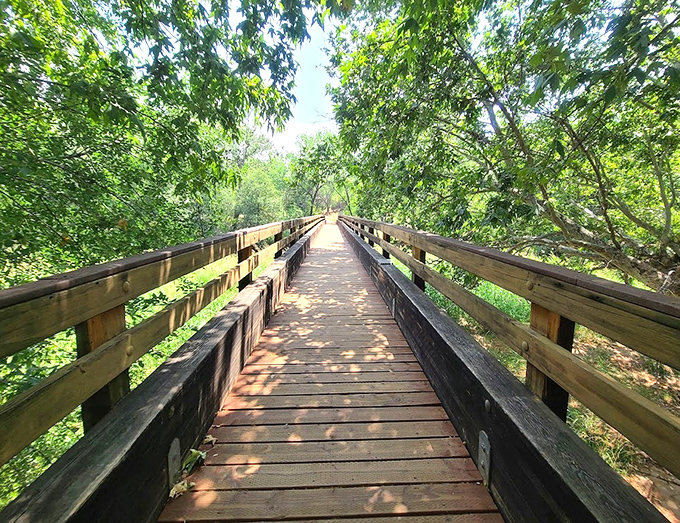 This wooden footbridge invites adventure, leading visitors through a tunnel of greenery to hidden treasures beyond.
