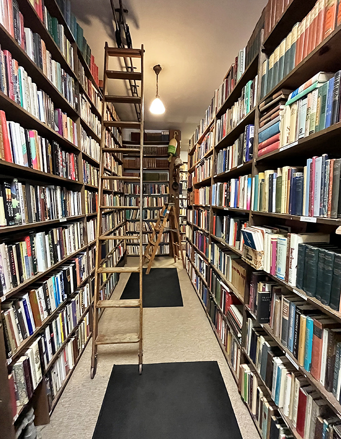 Wooden ladders invite vertical exploration, offering access to treasures that might otherwise remain undiscovered on higher shelves.