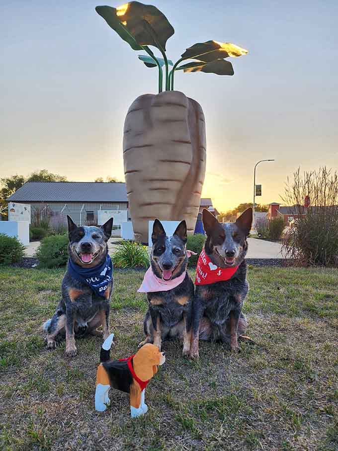 These adorable pups in their bandanas prove that the World's Largest Sugar Beet appeals to visitors of all species, making it the perfect photo op for your furry travel companions.