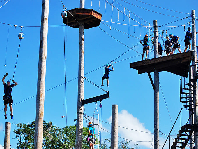 These aerial challenges would make American Ninja Warriors nod with respect &ndash; balance, focus, and a touch of daring required.