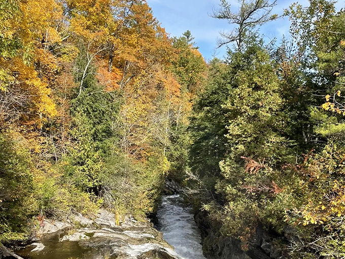 Autumn transforms Otter Creek Gorge into nature's finest painting, with maple and birch trees creating a fiery canopy above rushing waters.