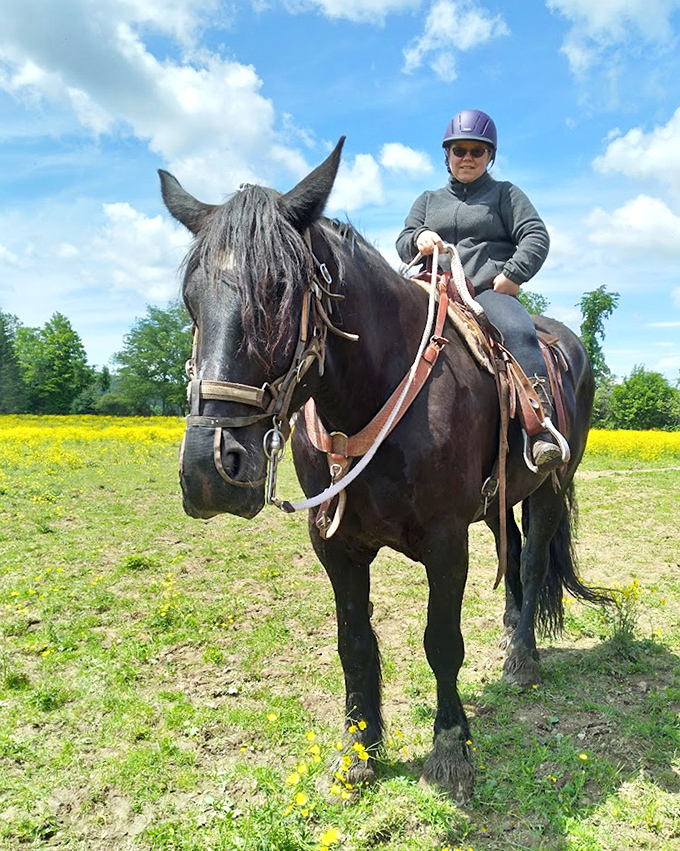 This magnificent black beauty seems to pose knowingly, perhaps aware that carrying humans through autumn splendor is no ordinary job.