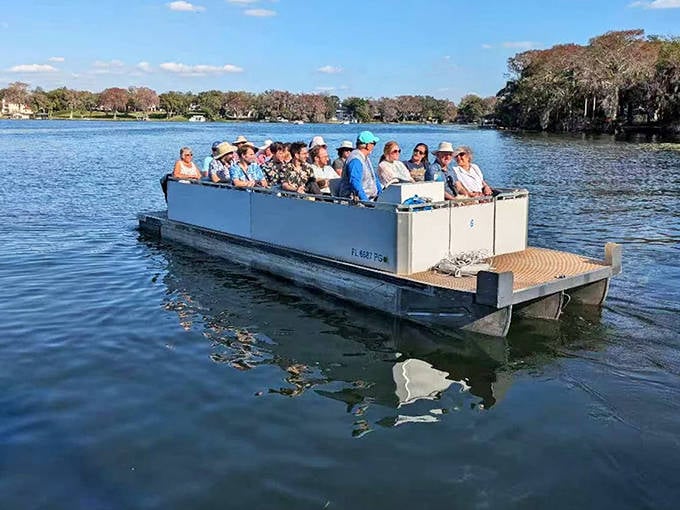 The open-air pontoon boats provide unobstructed views in all directions, ensuring no wildlife sighting or architectural marvel goes unnoticed.