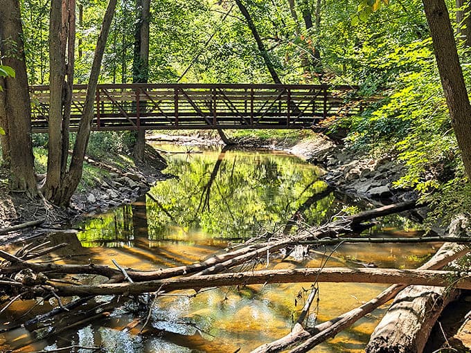 This rustic bridge spans more than just water &ndash; it's a portal between the world of deadlines and the realm of daydreams.