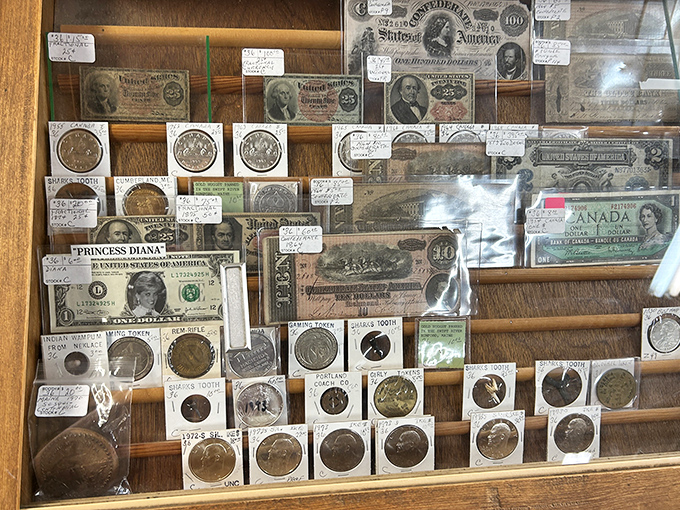 Money talks! This collection of historic currency and coins whispers tales of transactions long past and pockets long emptied.
