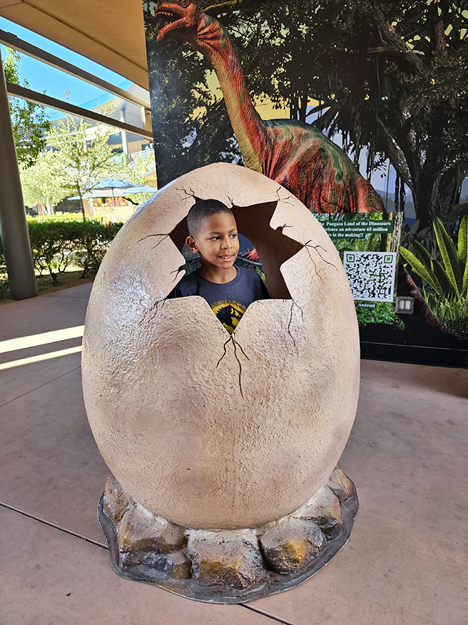 "I'm hatching a plan to visit again!" This cracked dinosaur egg photo op creates the perfect illusion of emerging into a prehistoric world.