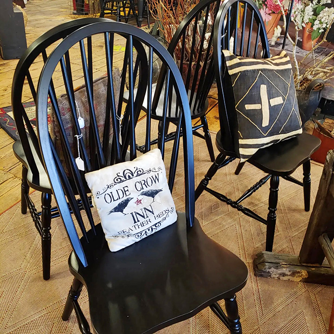 These Windsor-style chairs aren't just furniture &ndash; they're time travelers with "Olde Crow Inn" pillows to prove their historical credentials.