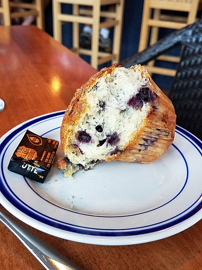 The cross-section reveals the muffin's secret: a tender crumb studded with tiny wild blueberries that pack more flavor than their cultivated cousins.