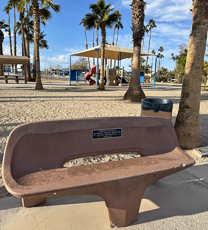 Sometimes the best seats in the house are the ones that watch generations discover joy under swaying palms.