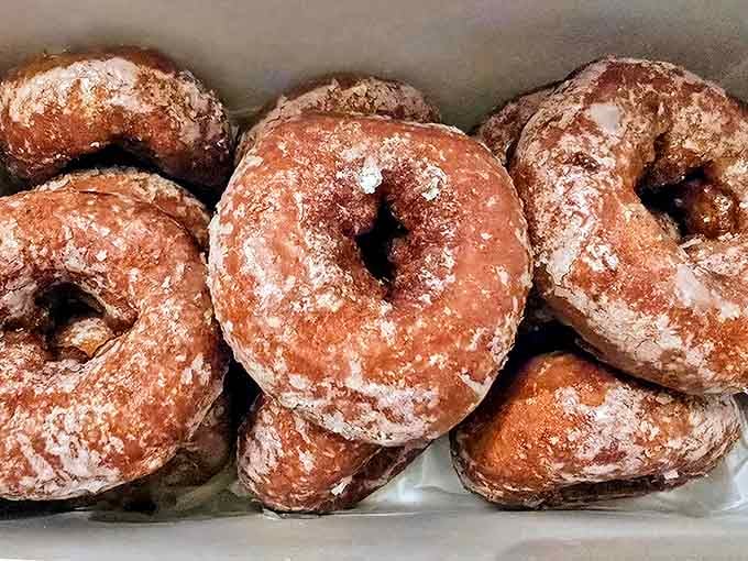 Pumpkin donuts available year-round? Genius! These spiced, cake-style treasures have saved countless Ohioans from seasonal withdrawal during non-autumn months.