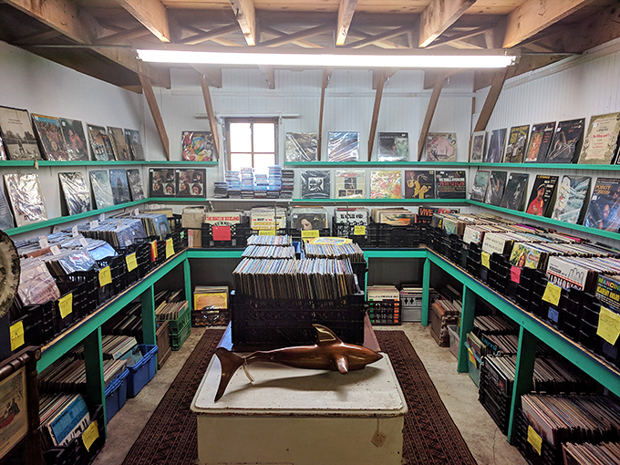 Vinyl enthusiasts will lose track of time browsing through decades of musical history, each record sleeve a time capsule of artistic expression.