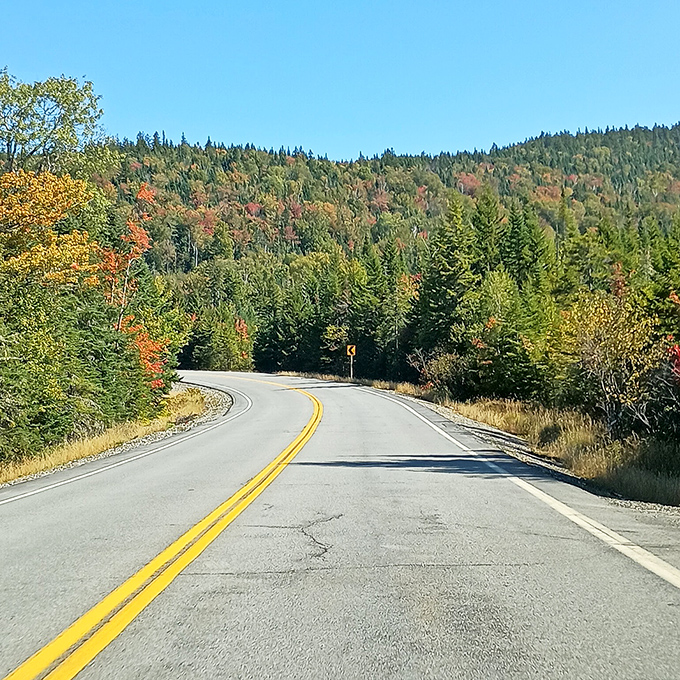 The road to wonder winds through Maine's forests, each curve bringing you closer to that "wow" moment waiting at the summit.