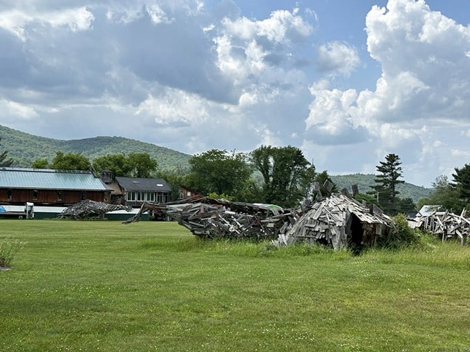 Vermont's natural beauty provides the perfect backdrop for this quirky attraction, where mountains meet imagination.